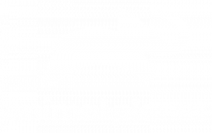 Home - Steve Rotfeld Productions