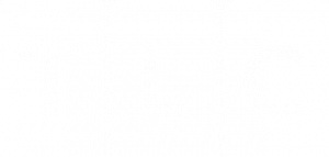 Home - Steve Rotfeld Productions